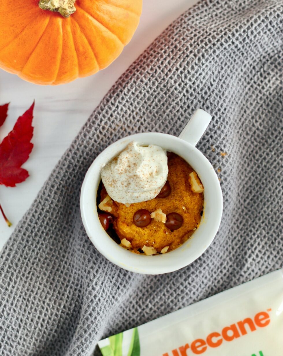 Healthy Pumpkin Mug Cake - Cheerful Choices
