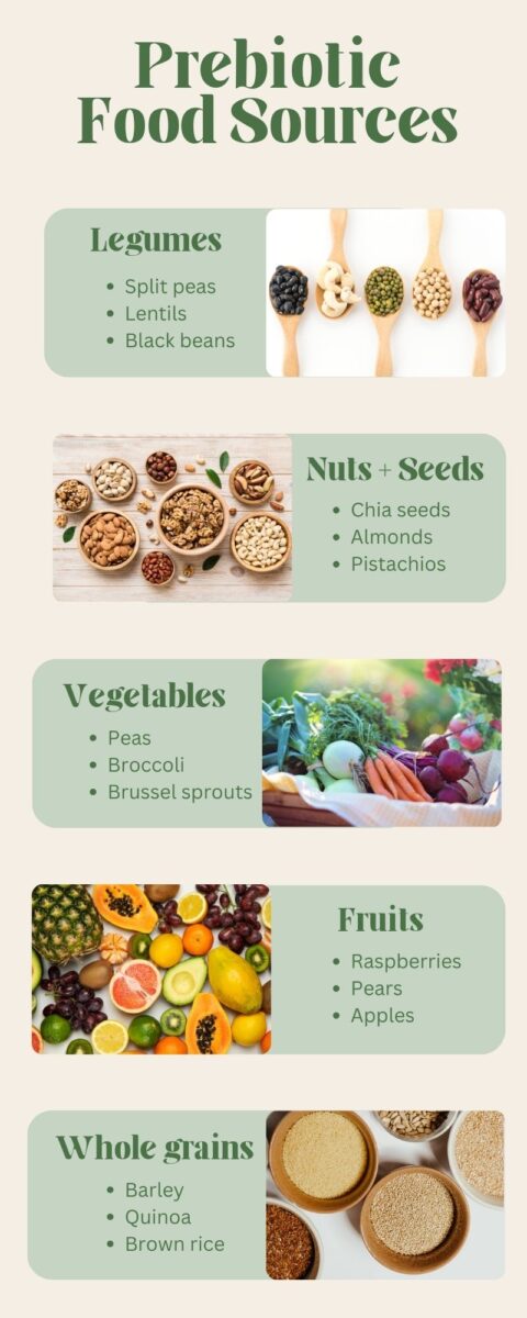 Your Guide to Probiotics vs Prebiotics - Cheerful Choices